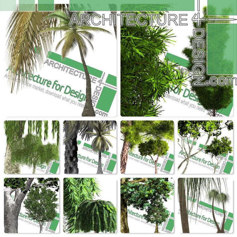 High-resolution cut-out trees: collection 4 (PNG format) - Architecture ...