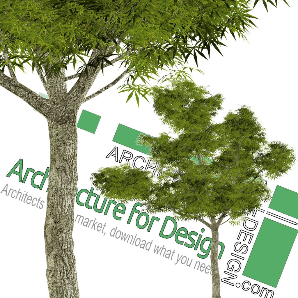 High-resolution cut-out trees: collection 3 (PNG format) - Architecture ...