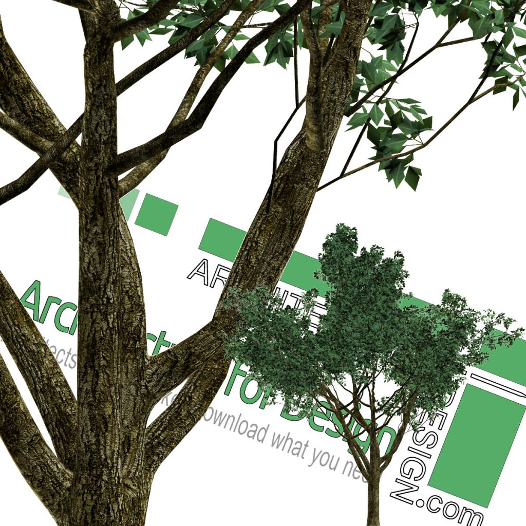 High-resolution cut-out trees: collection 3 (PNG format) - Architecture ...
