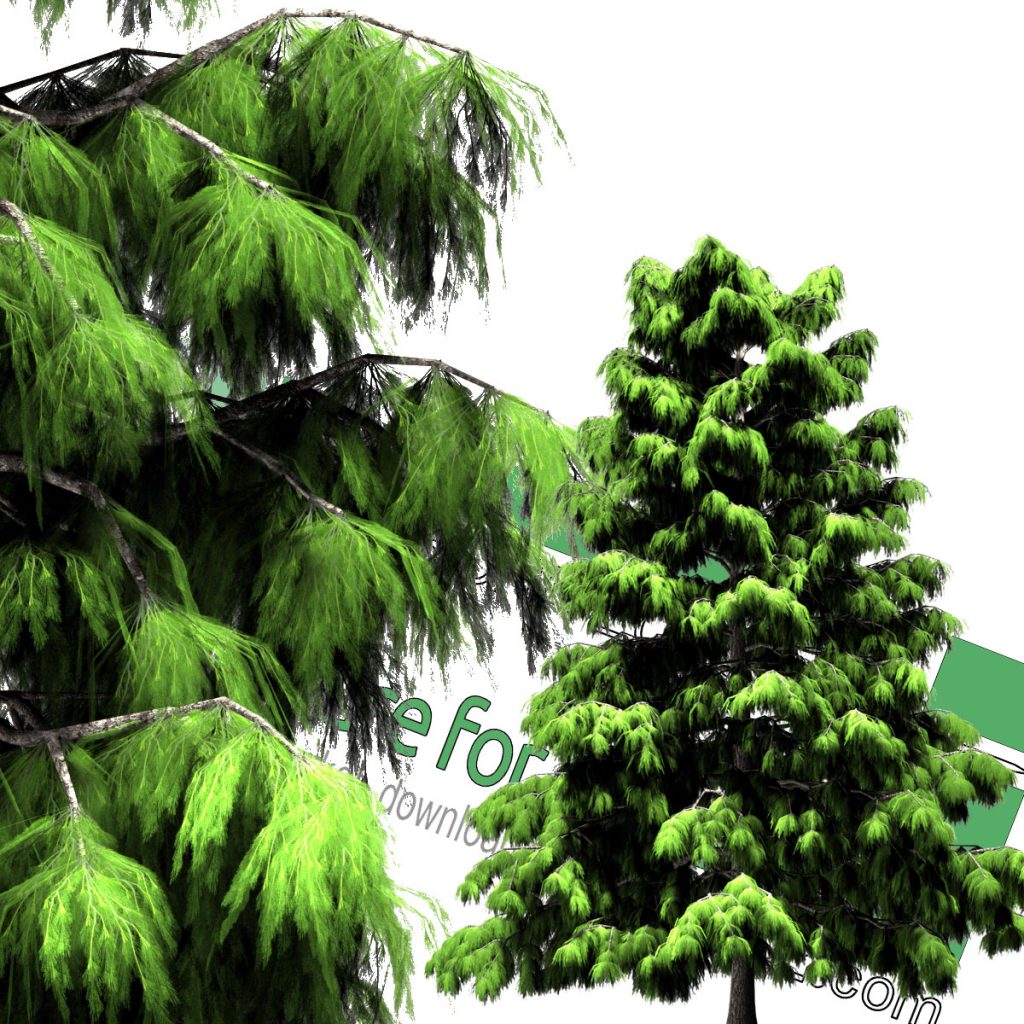 High-resolution cut-out trees: collection 2 (PNG format) - Architecture ...