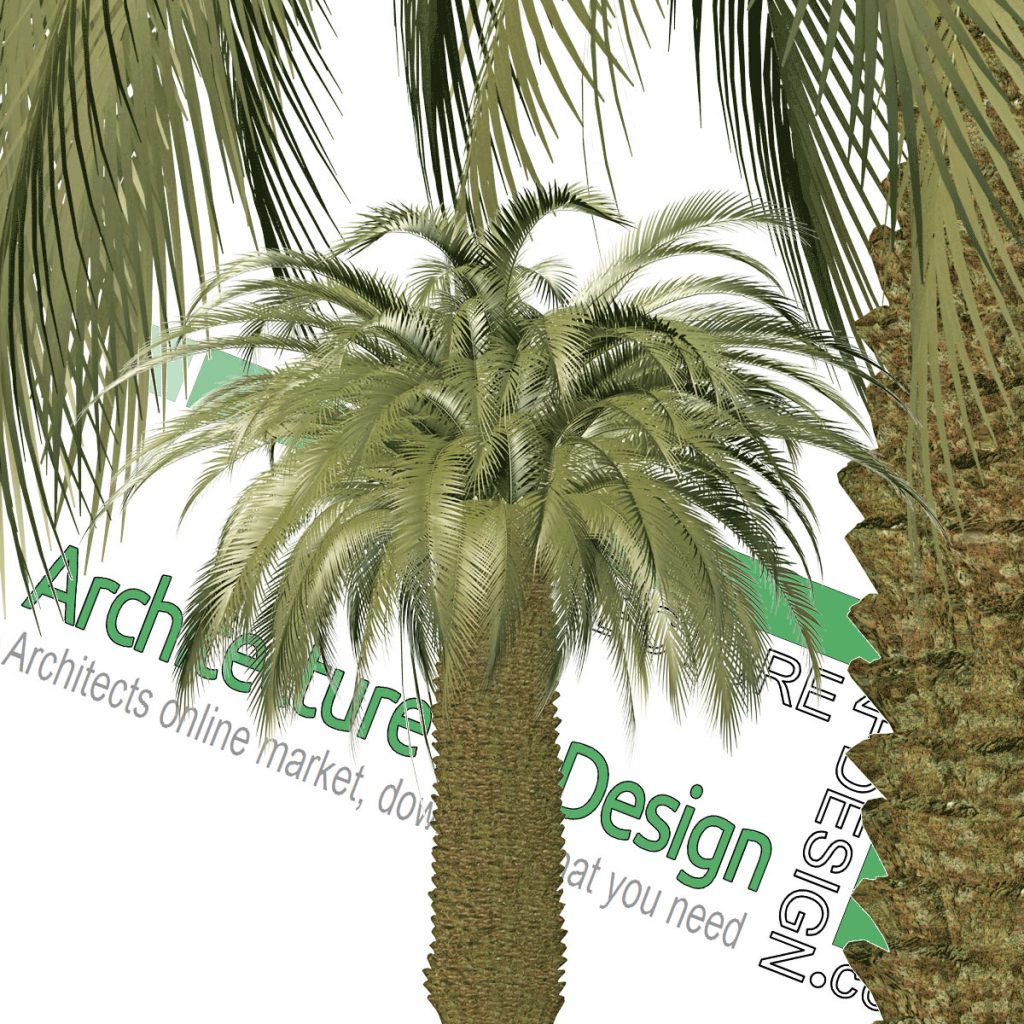High-resolution cut-out trees: collection 4 (PNG format) - Architecture ...